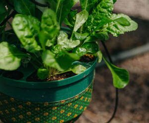 About Us – Mr Price Foundation